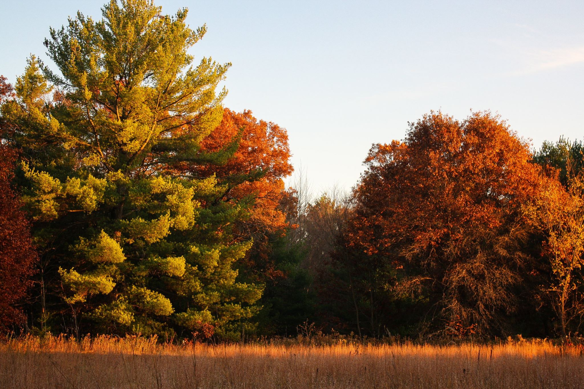 Wyeville - Explore Monroe County, Wisconsin