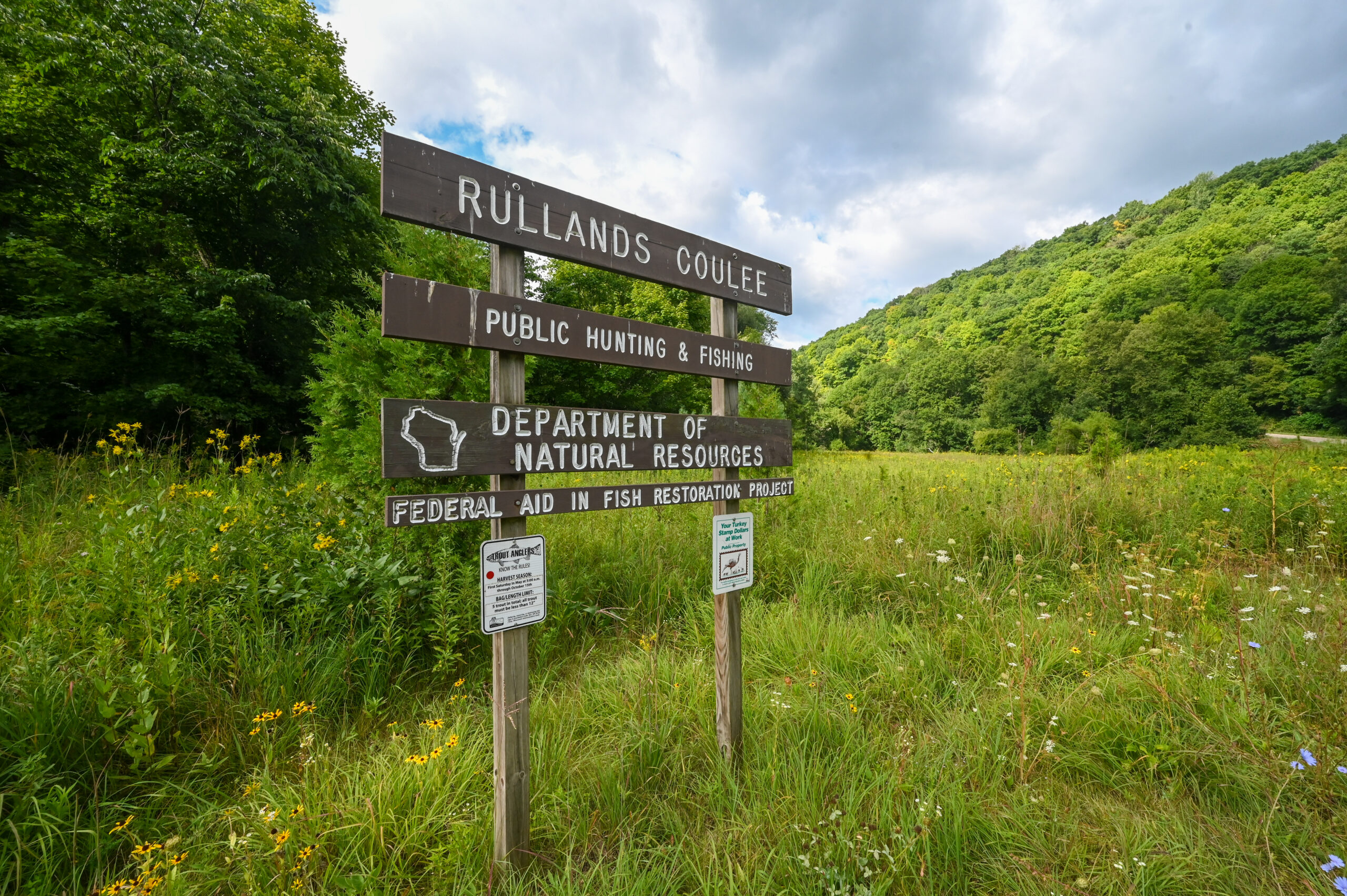 Public Hunting Nature